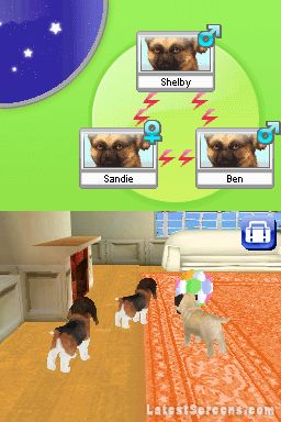 All Petz Dogz Pack Screenshots for Wii, Nintendo DS